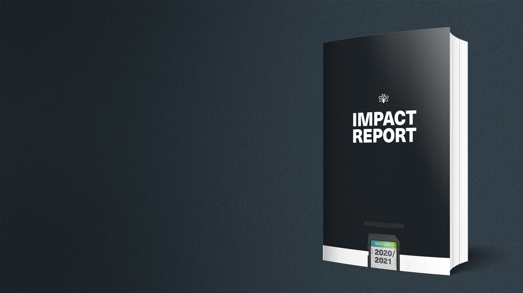 IGNITE’s 2021-2022 Impact Report | IGNITE