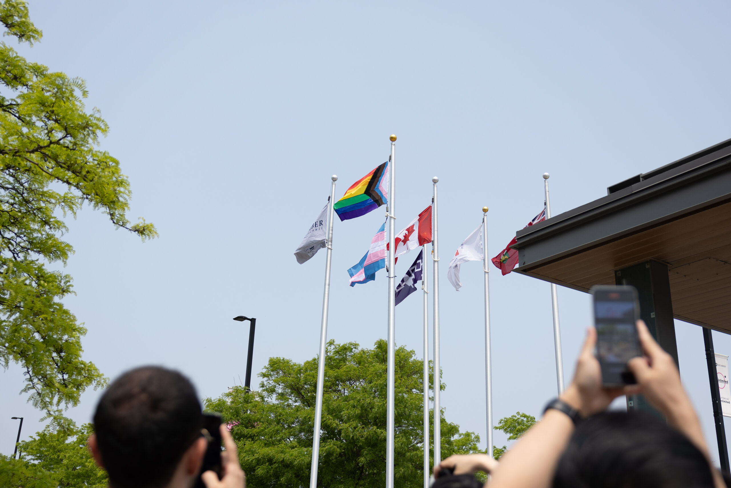 Honouring every path to Pride | IGNITE